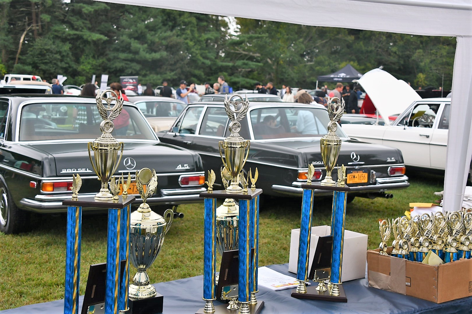 Great Marques Concours d'Elegance – Long Island's Premier Car Club ...